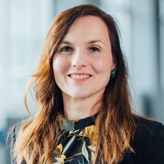 Vodstvo – Nova Slovenija – Krščanski demokrati